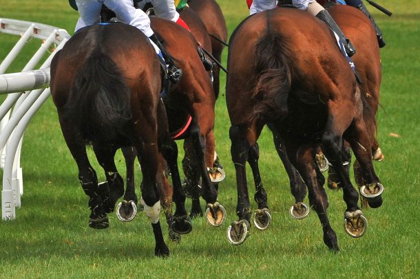 Jeremy Leibler | Partner | Arnold Bloch Leibler